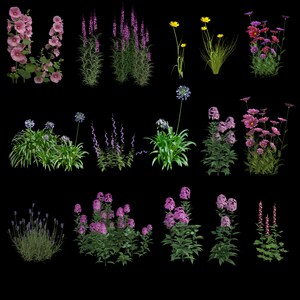 Digital Flowers and Pot Plant Overlays, Png Files for Photographers ...