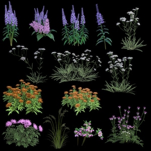 Digital Flowers and Pot Plant Overlays, Png Files for Photographers ...