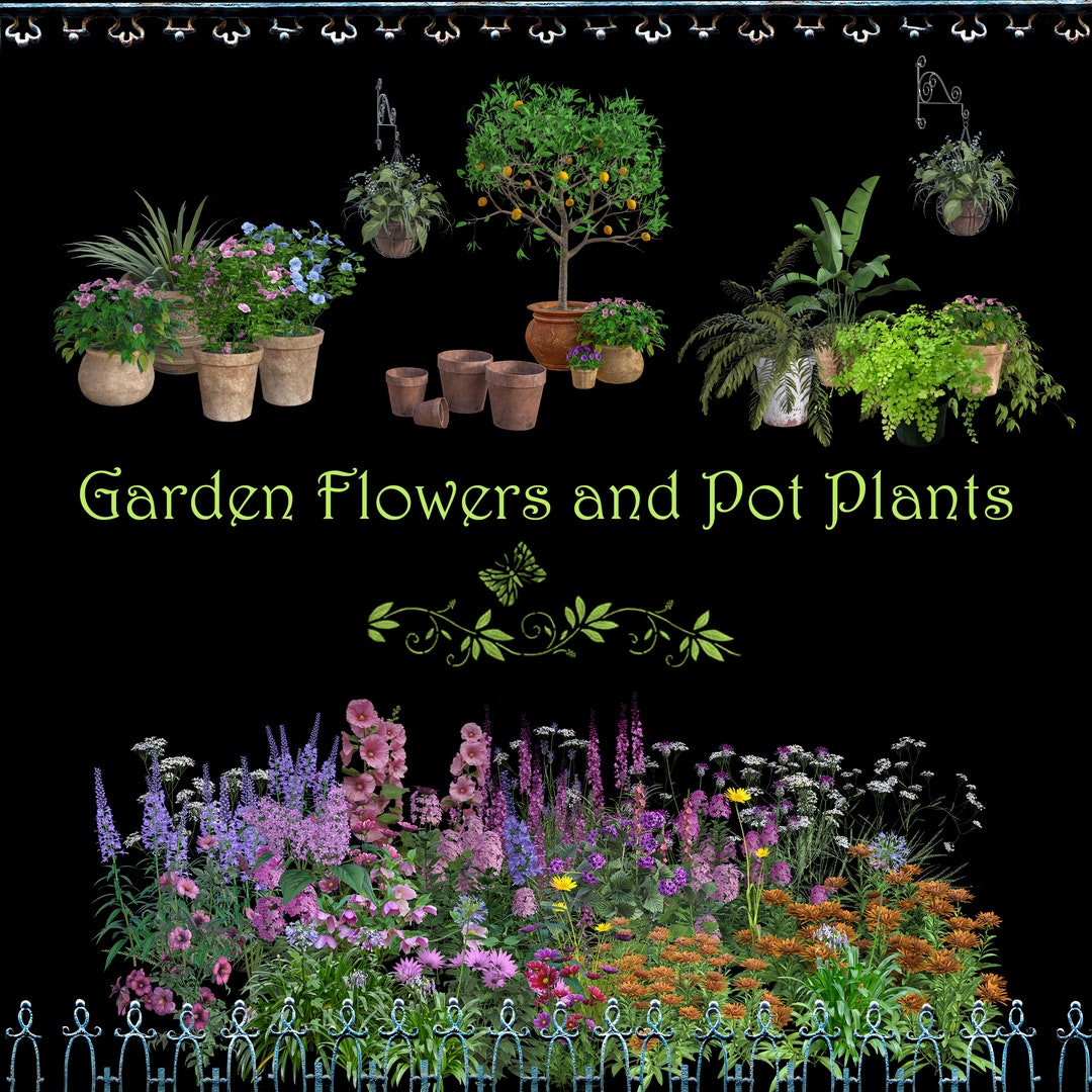 Digital Flowers and Pot Plant Overlays, Png Files for Photographers ...
