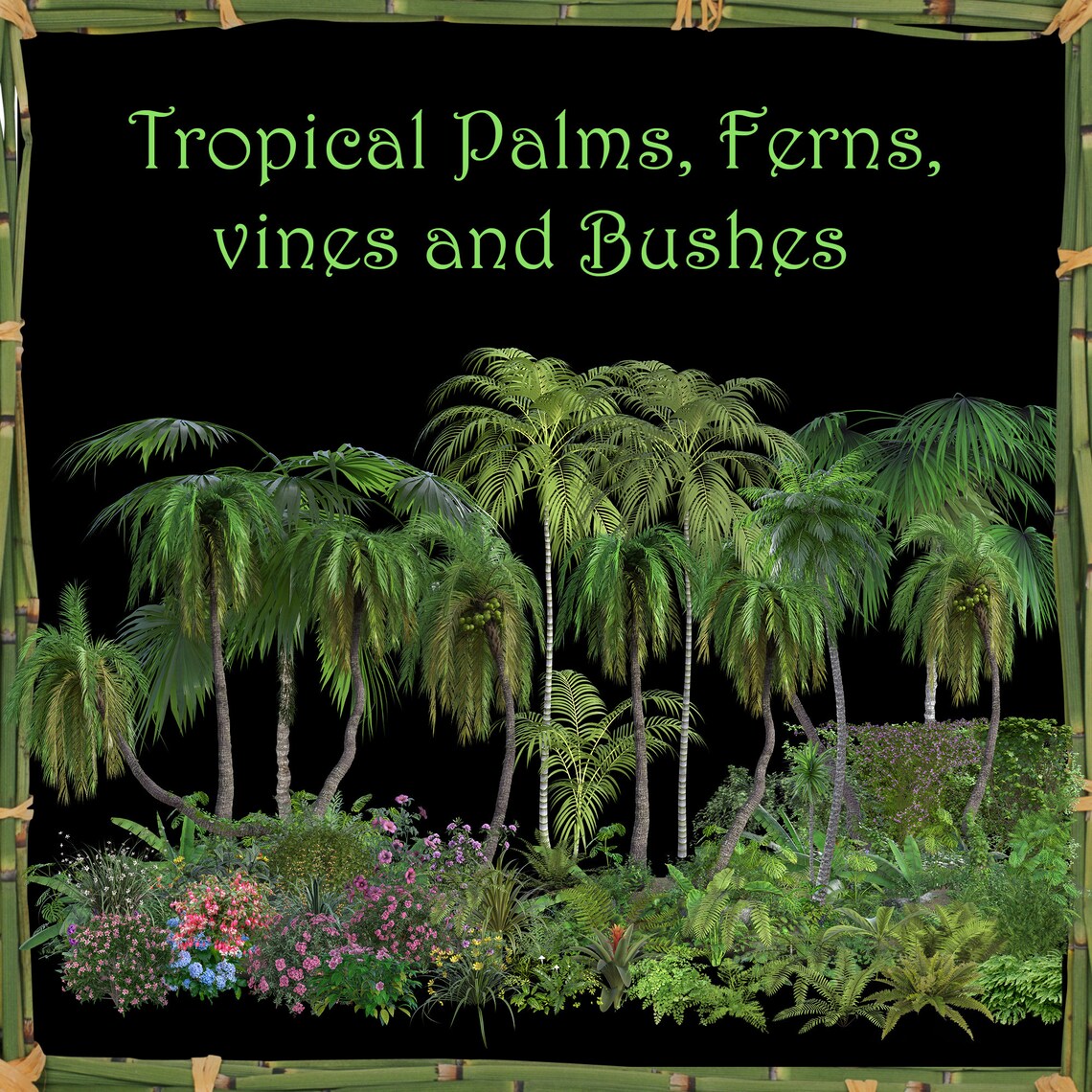 Tropical Plant Overlays, Palms, Ferns, Shrubs, Vines and Creepers, PNG ...