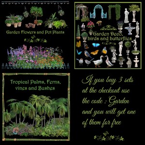 Tropical Plant Overlays, Palms, Ferns, Shrubs, Vines and Creepers, PNG ...