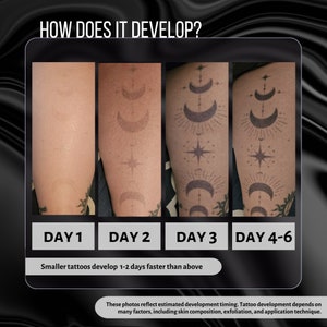 Dragons | Semi-permanent Tattoo Plant Based Temporary Tattoo Temporary Tattoos Cosplay Halloween ...