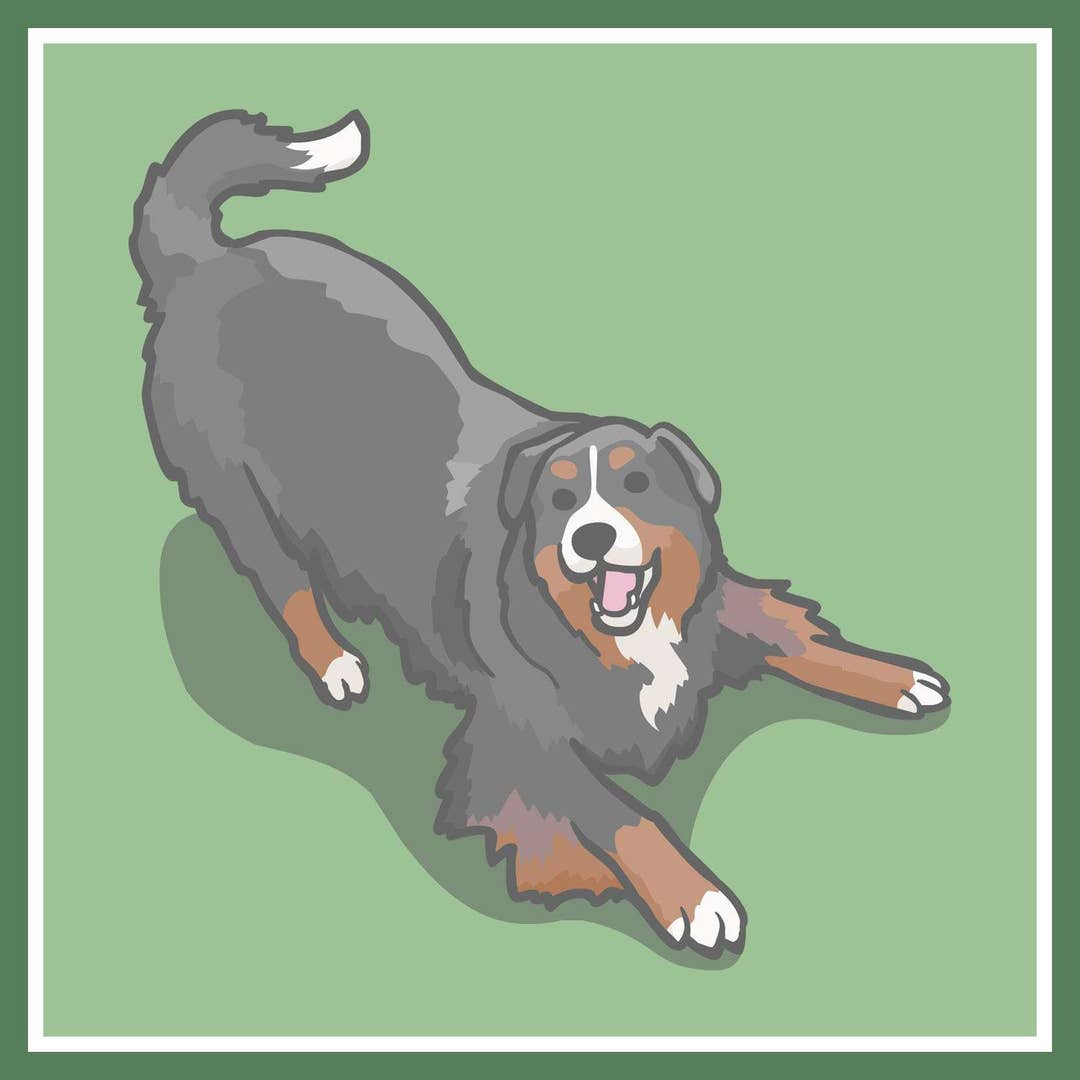 Custom Pet Portrait / Digital Art / Dog Cartoon Vector - Etsy