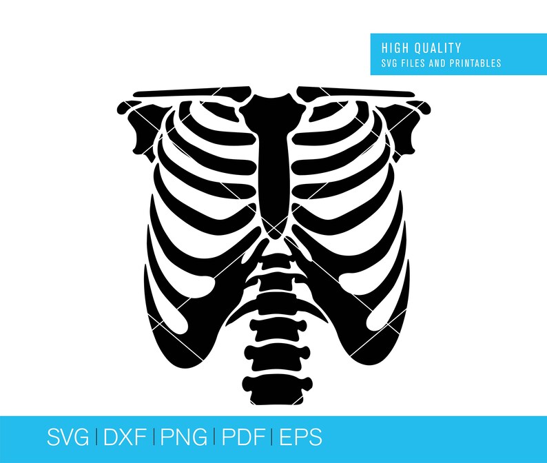 Skeleton Svg Files Skeleton Svg File Bundle Skeleton Svg for - Etsy Canada