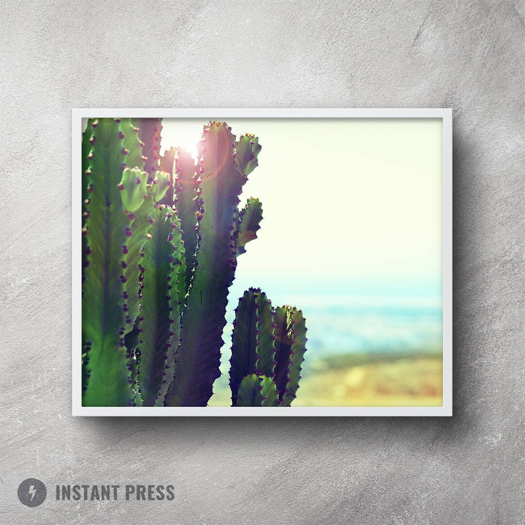 Cactus Photography, Digital Download, Cactus Printable Art, Cactus ...