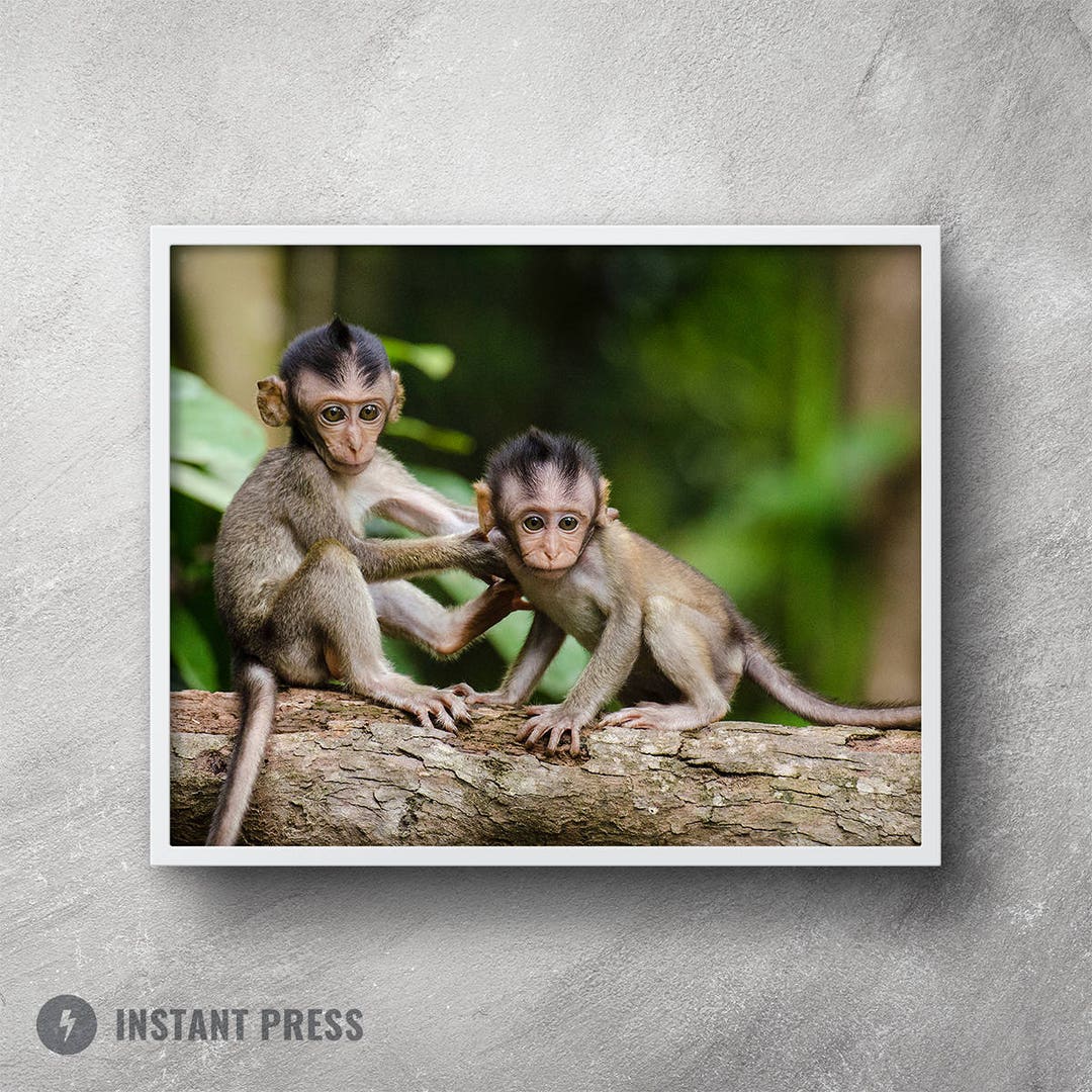 Baby Monkey Print, Nursery Monkey Print, Nursery Monkey Art, Printable ...