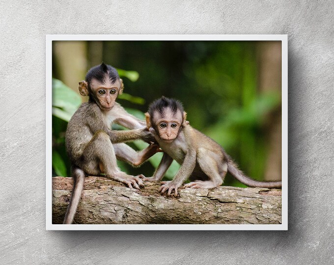 Monkey Print - Etsy