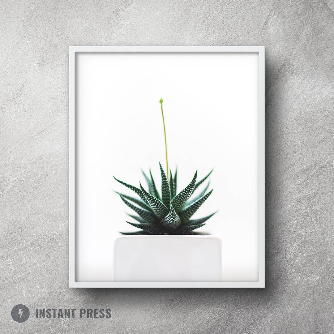 Succulents Wall Art, Succulent Printable, Printable Cactus Art ...
