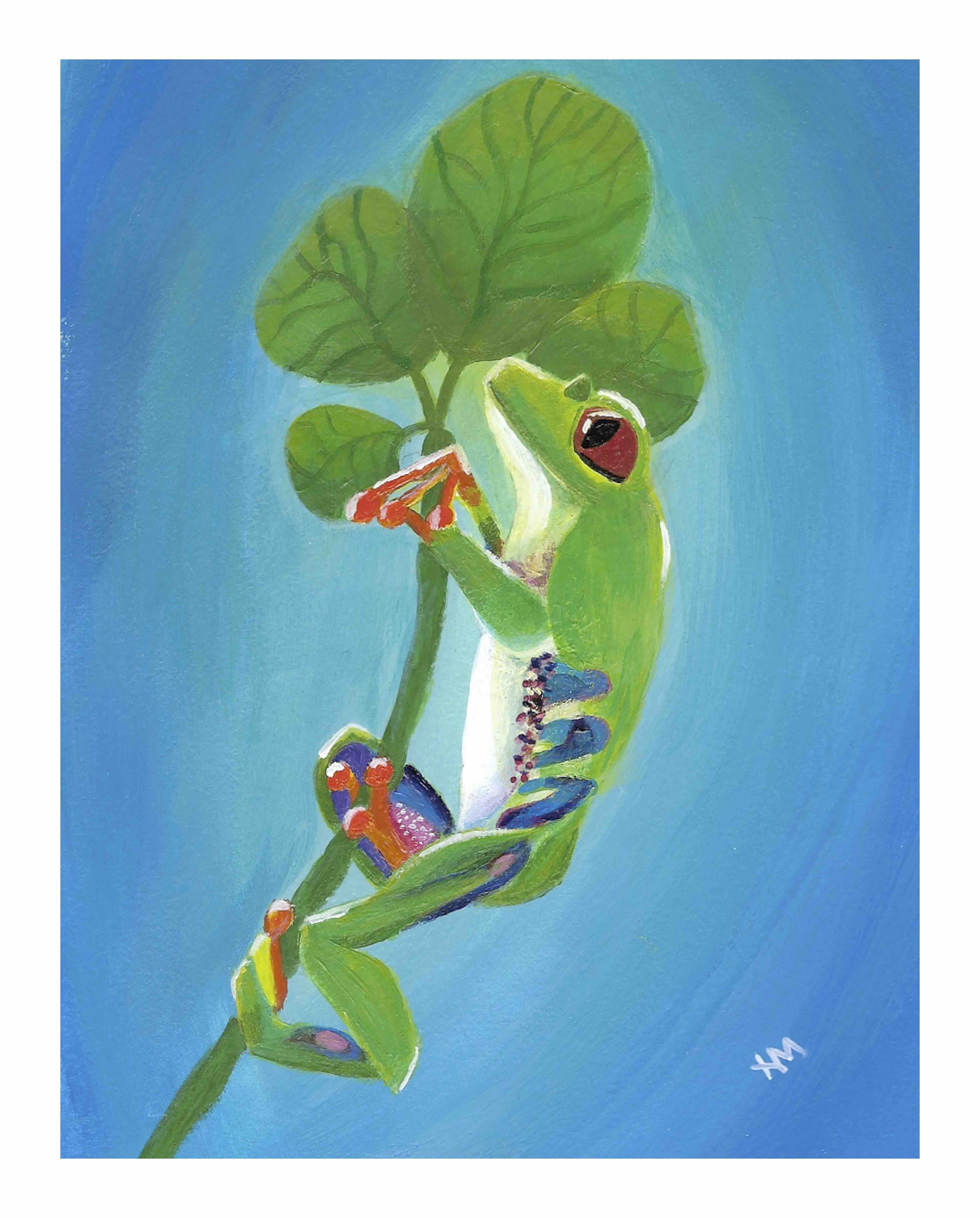 Red Eye Tree Frog, Acrylic Digital Print 8x10 - Etsy