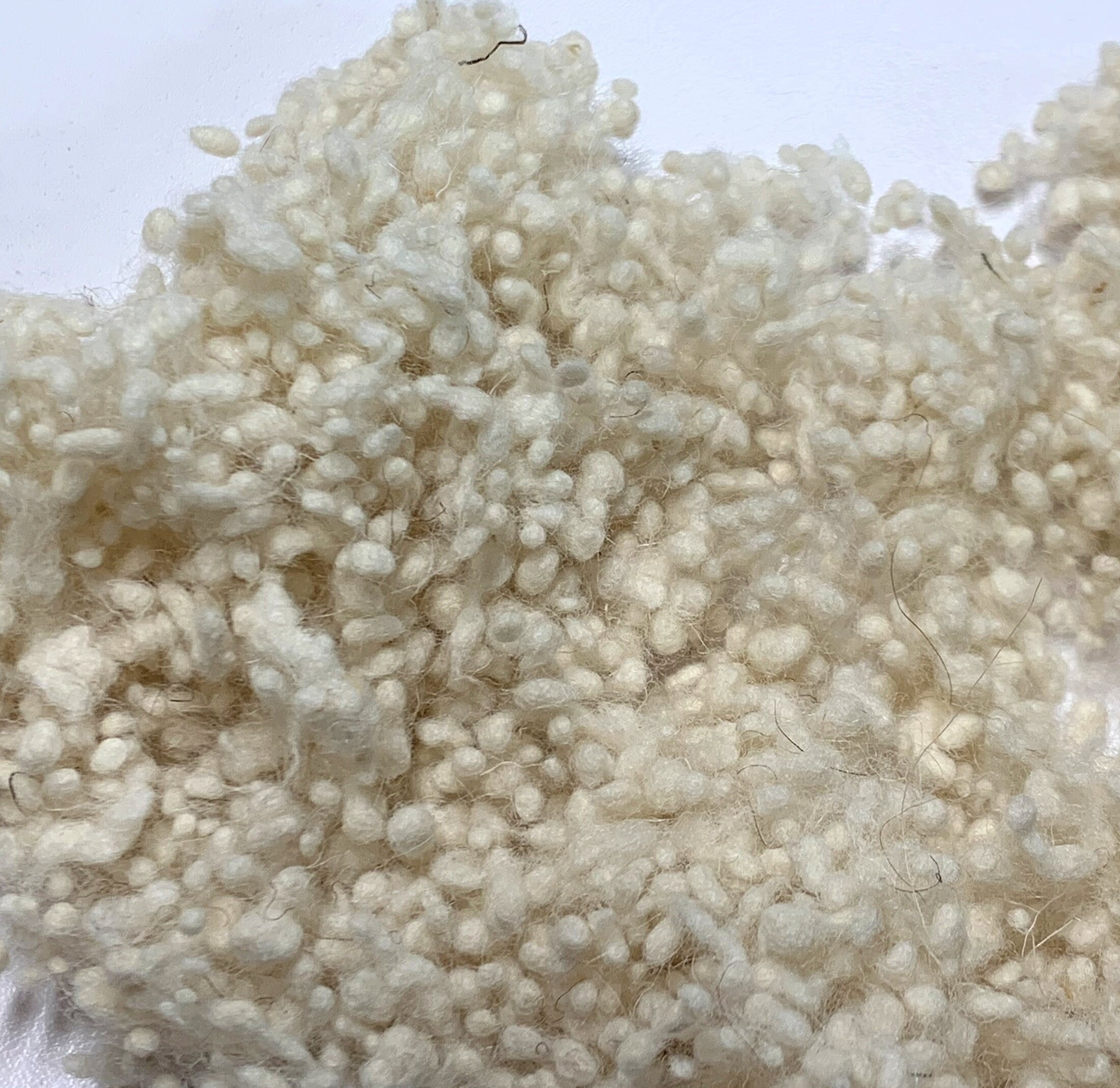 Undyed Wool Nepps Spinning Weaving Felting Effects - Etsy