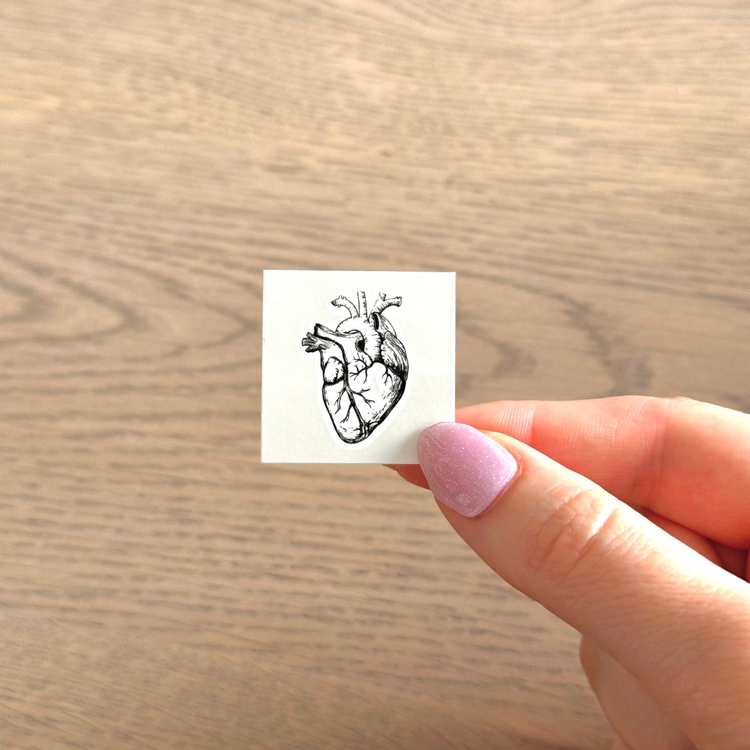 Anatomical Open Heart (set of 2) - Temporary Tattoo - Etsy
