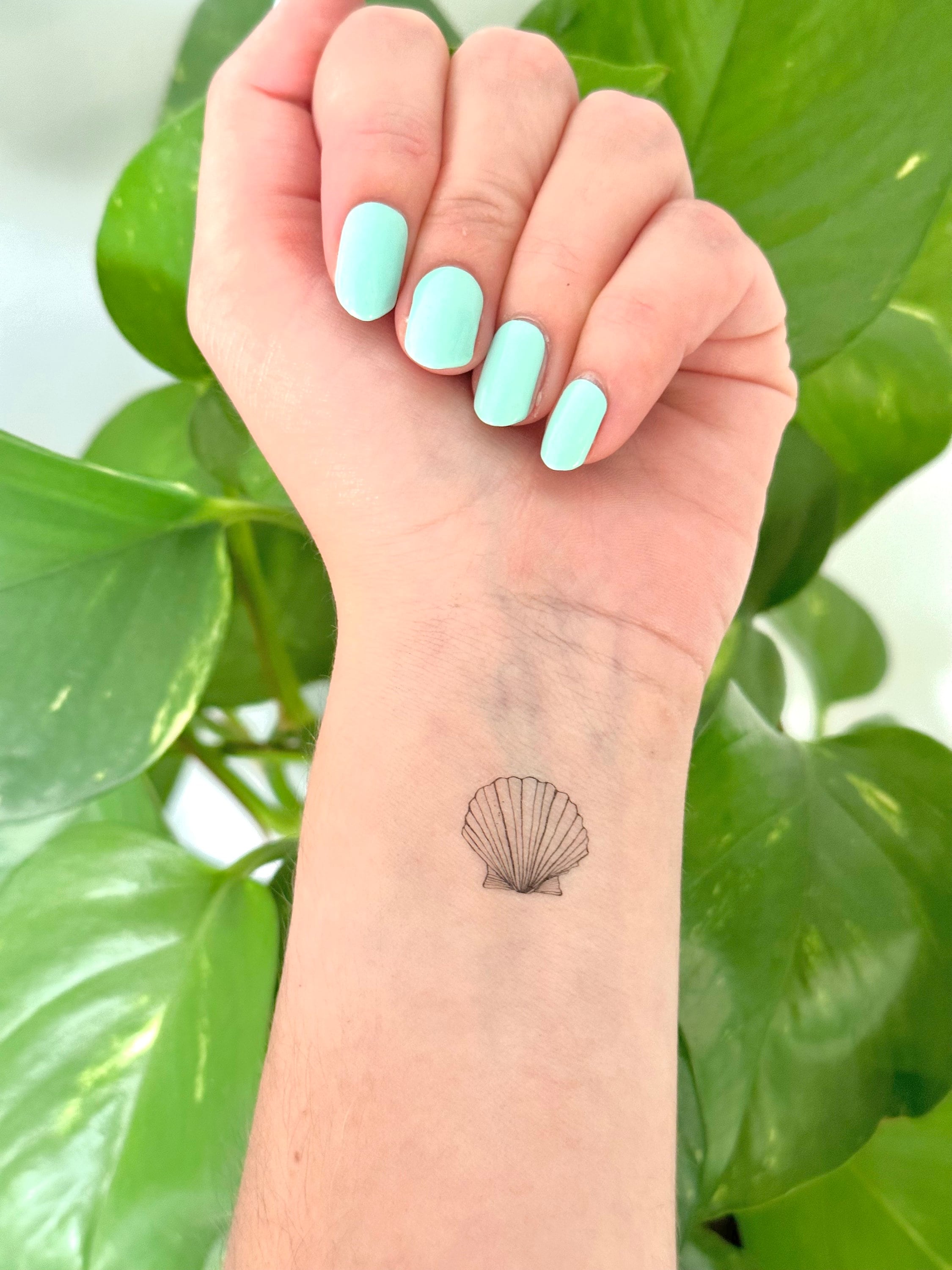Clam Shell Tattoos Amazon.com : Clam Shell Temporary Tattoo Water