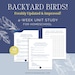Backyard Birds 4-week Unit Study DIGITAL Printable (homeschool ...