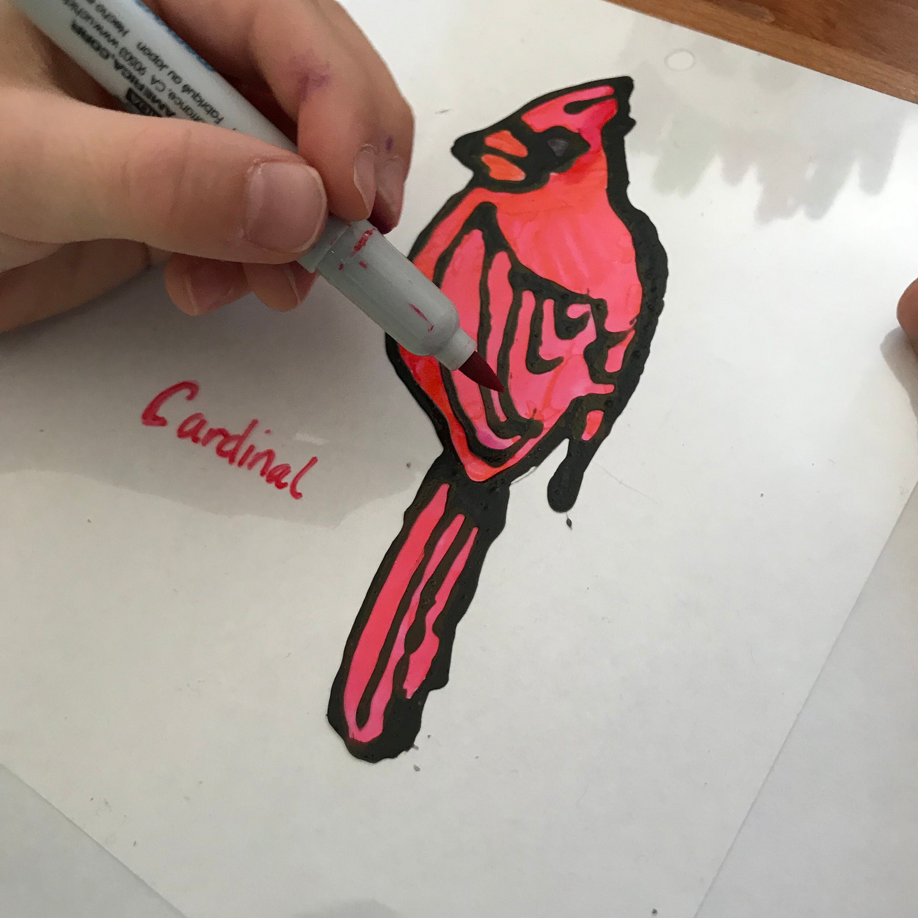 Backyard Birds 4-week Unit Study DIGITAL Printable - Etsy