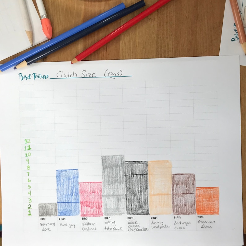 Backyard Birds 4-week Unit Study DIGITAL Printable (homeschool ...