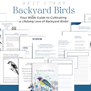 Backyard Birds 4-week Unit Study DIGITAL Printable (homeschool ...