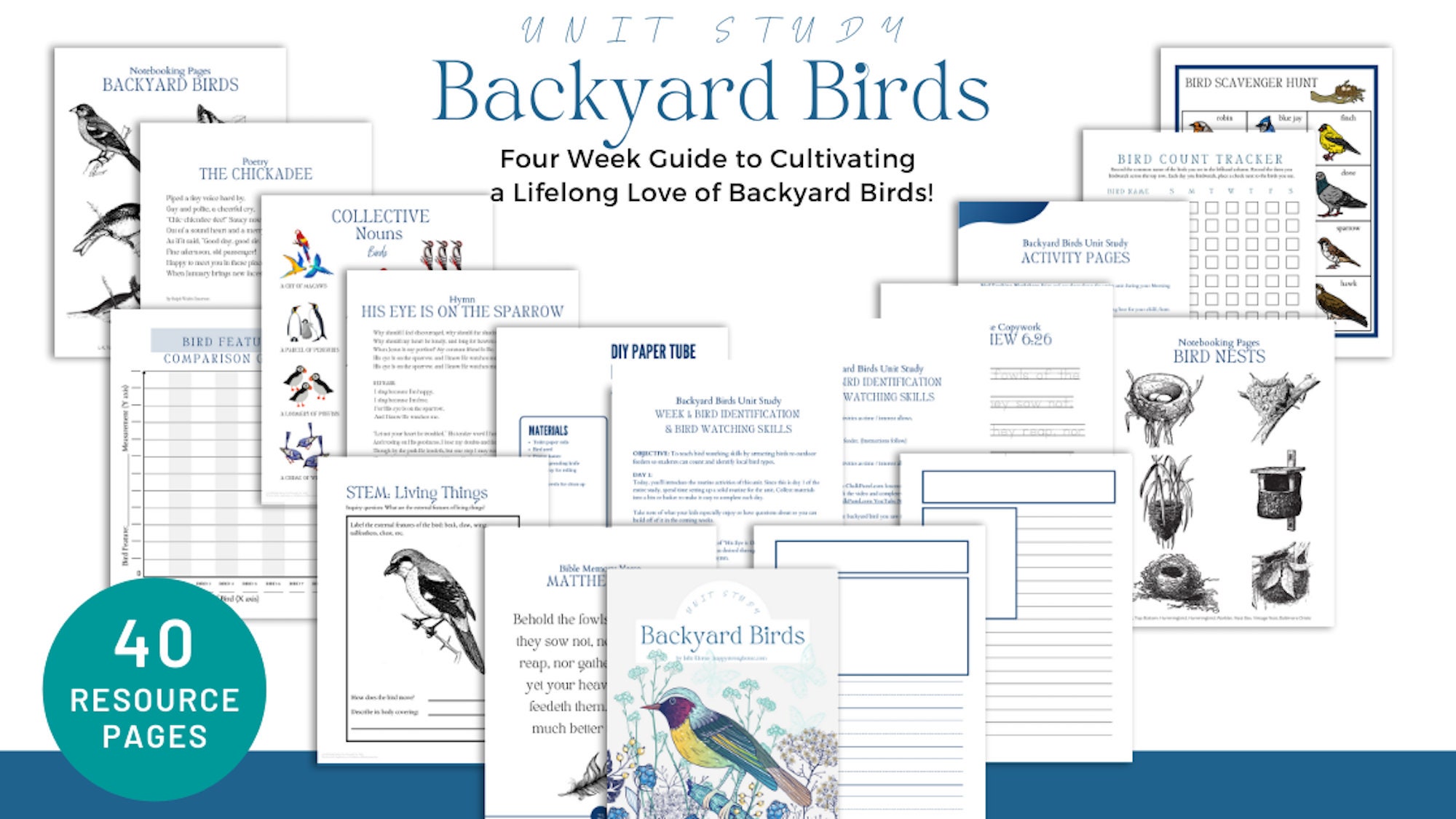 Backyard Birds 4-week Unit Study DIGITAL Printable (homeschool ...
