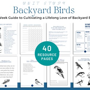 Backyard Birds 4-week Unit Study DIGITAL Printable (homeschool ...