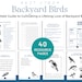 Backyard Birds 4-week Unit Study DIGITAL Printable (homeschool ...