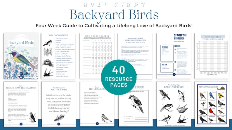 Backyard Birds 4-week Unit Study DIGITAL Printable (homeschool, Curriculum, Charlotte Mason ...