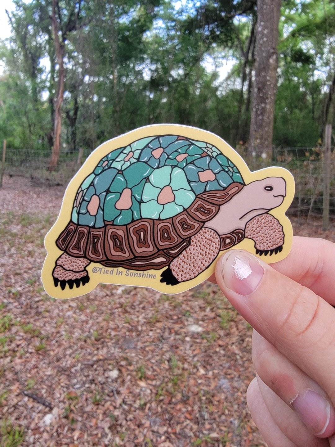 Gopher Tortoise Sticker, Water Bottle Decal, Flower Turtle Sticker ...