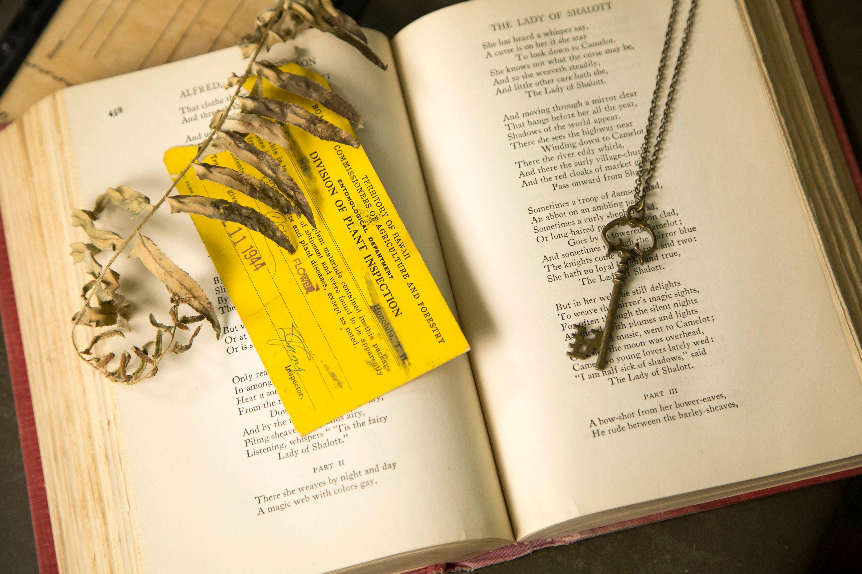 Unlock the Secrets Skeleton Key Necklace, Symbolic Key Necklace, Gypsy ...