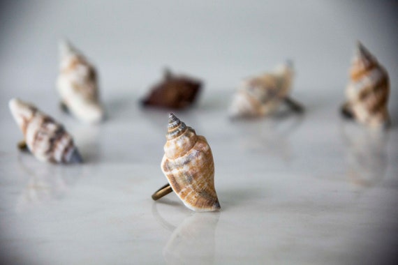 Aphrodite Seashell Ring Feminine Power and Divination | Etsy
