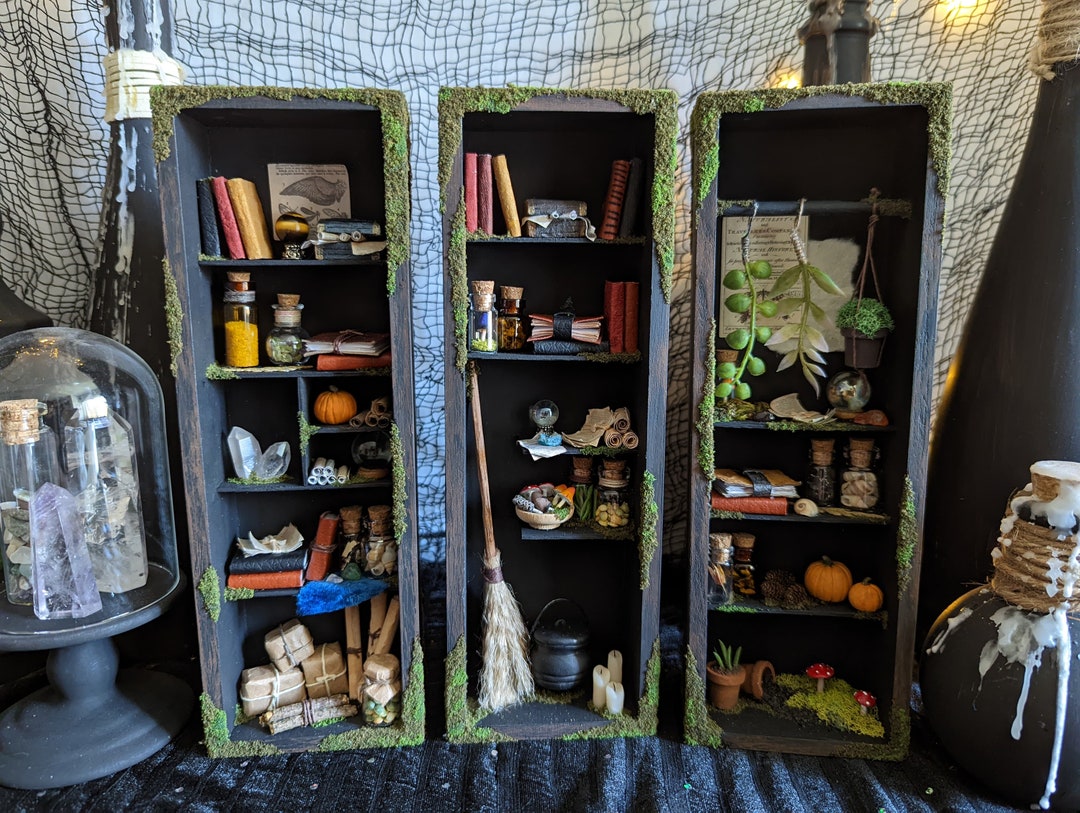 One of a Kind Magic Mage Miniature Shelves, Potions and Spells ...