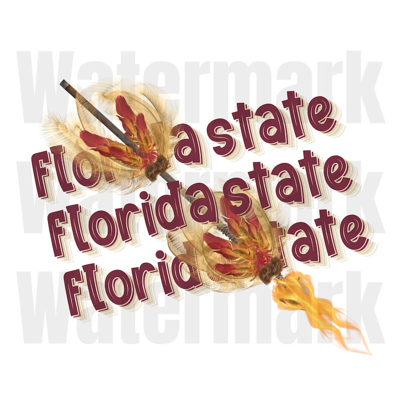Florida State FSU PNG File for Sublimation/ Dtf / Dtg - Etsy
