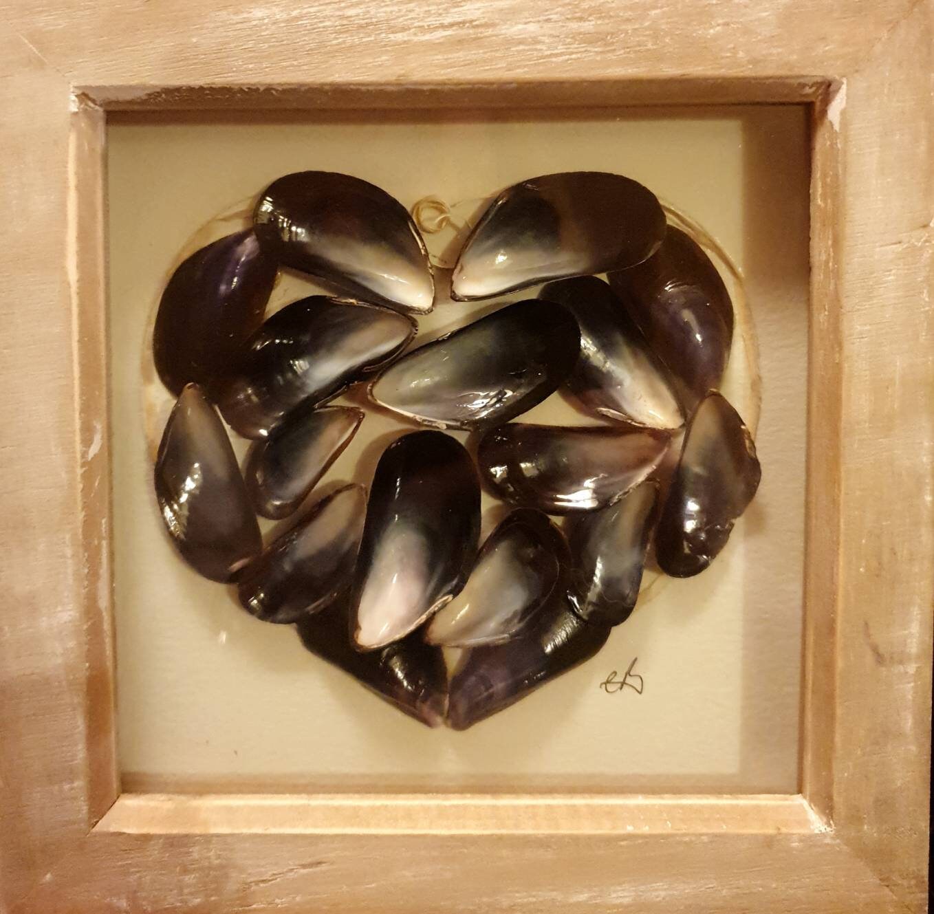 Natural Mussel Shell Heart Picture. Handmade in Devon. - Etsy