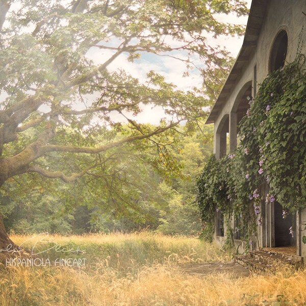 Abandoned House - Etsy