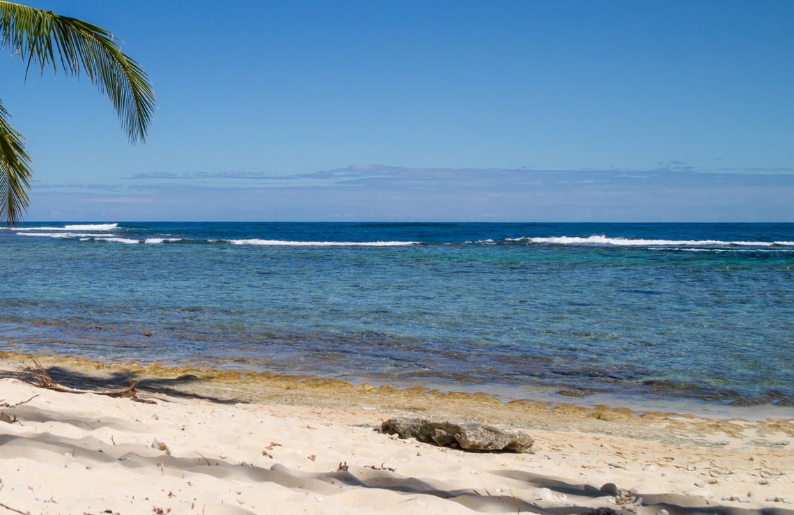 Caribbean Beach Scene Beach Backdrop Premade Backdrop - Etsy