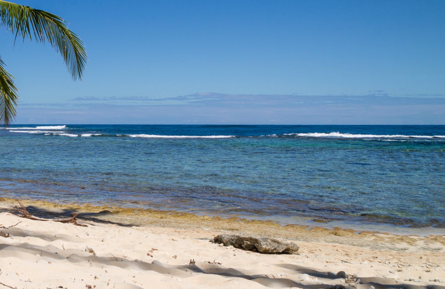 Caribbean Beach scene Beach Backdrop premade Backdrop | Etsy