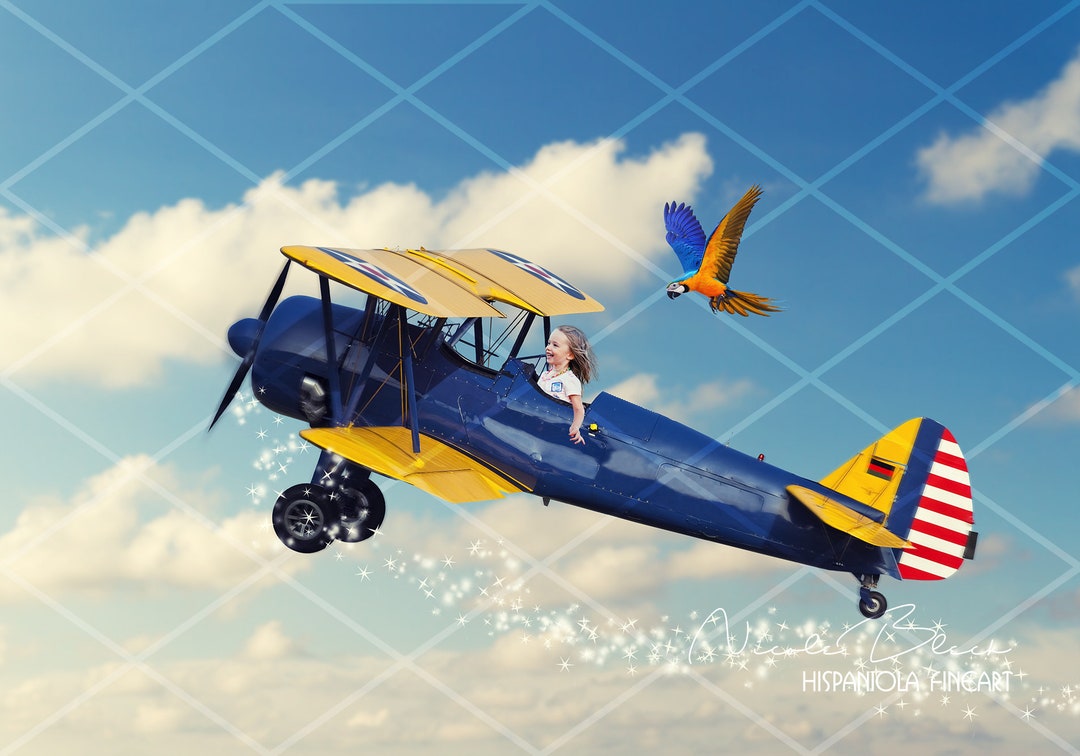 Biplane Plane Backdrop Airplane Digital Backdrop Premade Backdrop Pilot ...