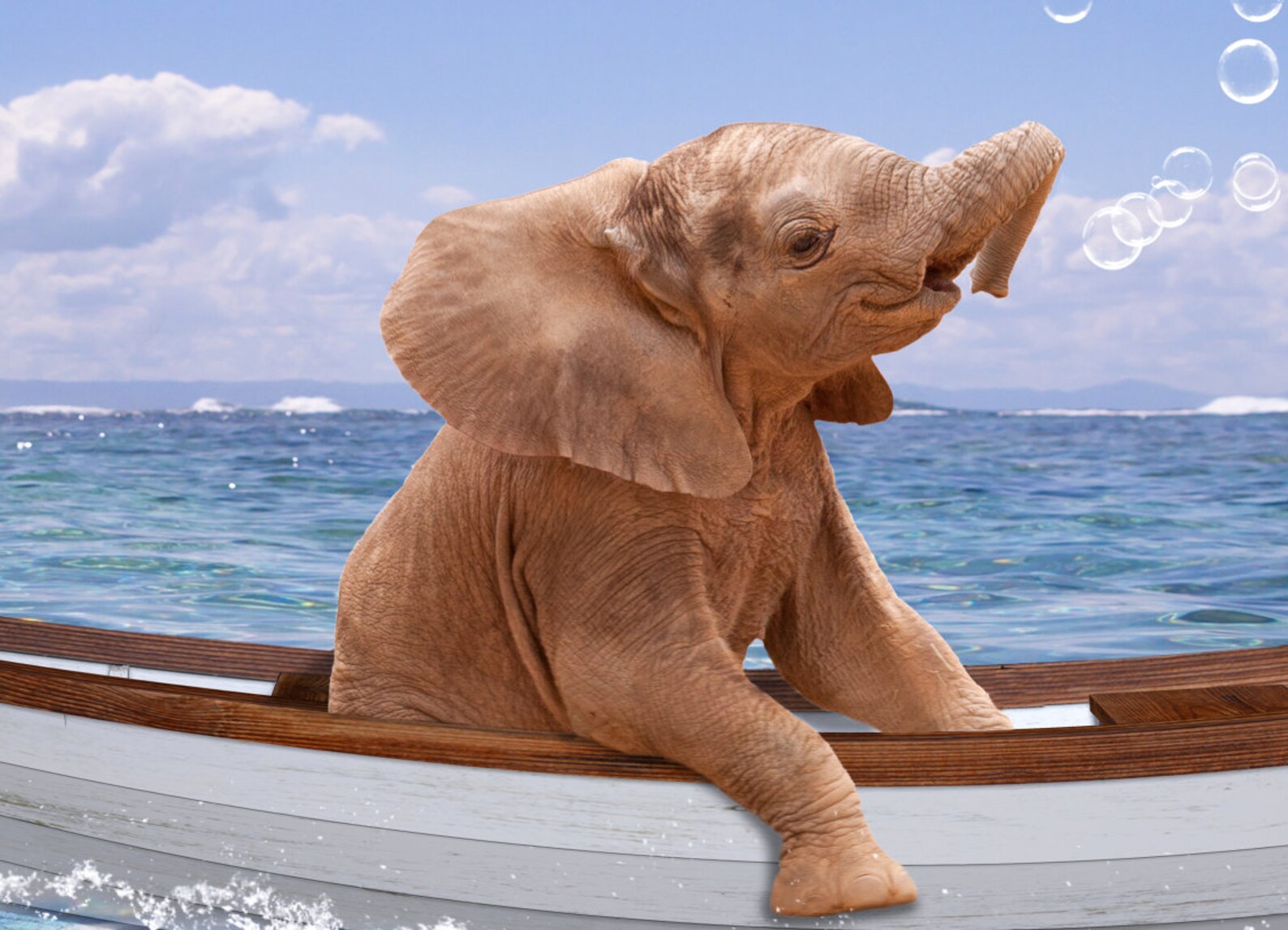Baby Elephant in Boat Scene Premade Backdrop Elephant - Etsy