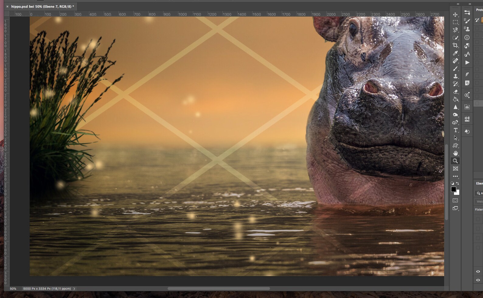Hippo Digital Backdrop Hippo Composite Photoshop | Etsy