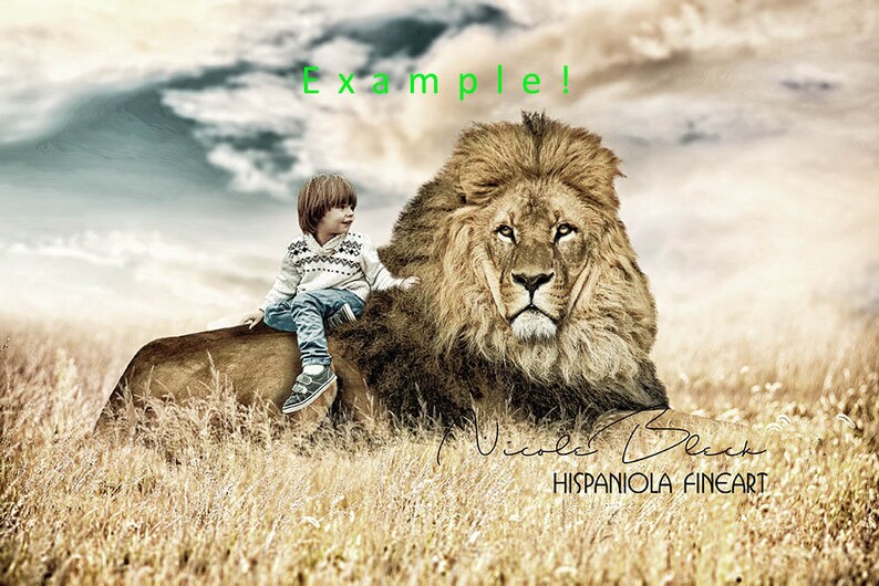 Lion in Grass Backdrop Premade Backdrop Lion Background - Etsy