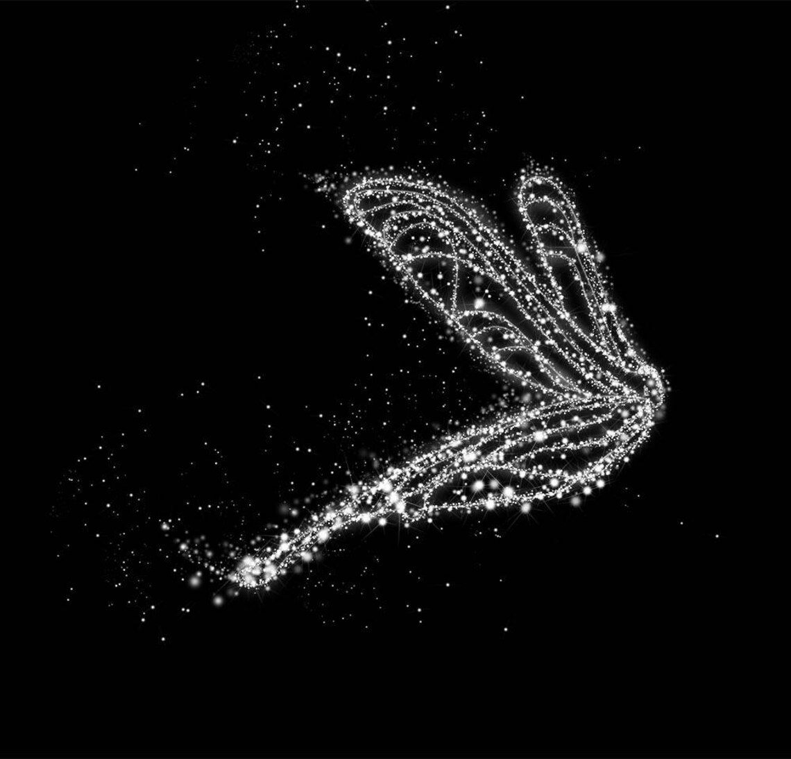 5 Magic Fairy Wings Transparent Wings Digital Wings | Etsy