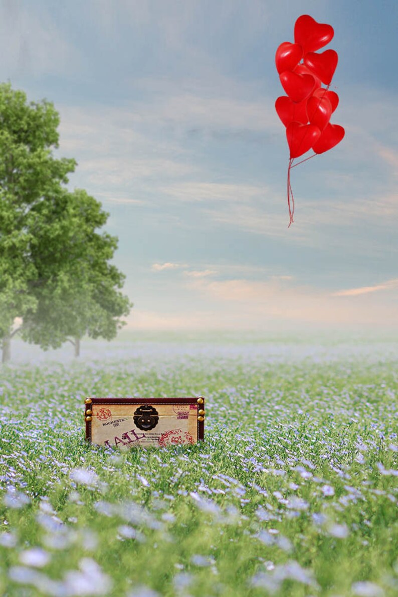 Heart Balloon Scene Valentines Backdrop Instant Download - Etsy