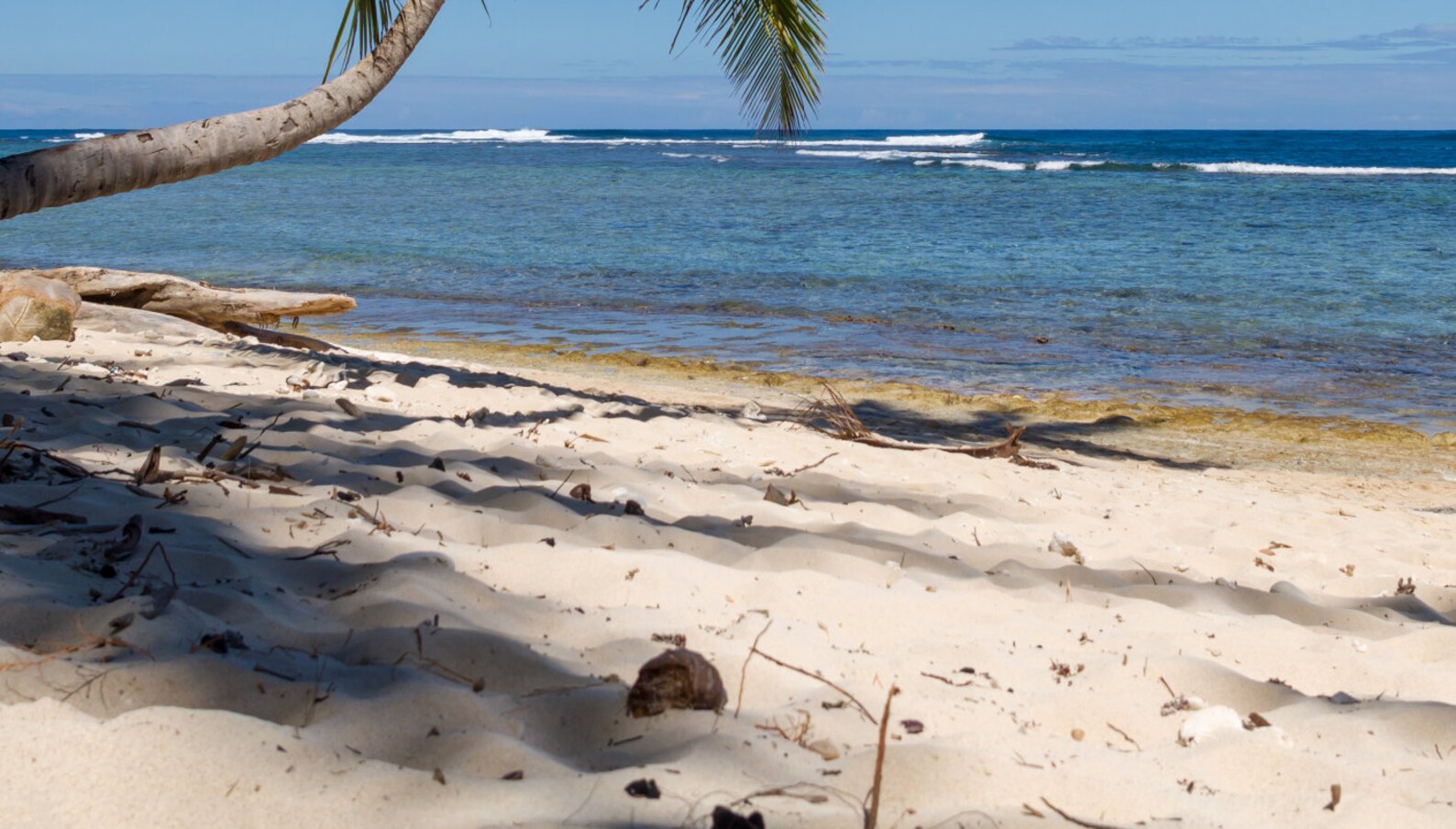Caribbean Beach scene Beach Backdrop premade Backdrop | Etsy