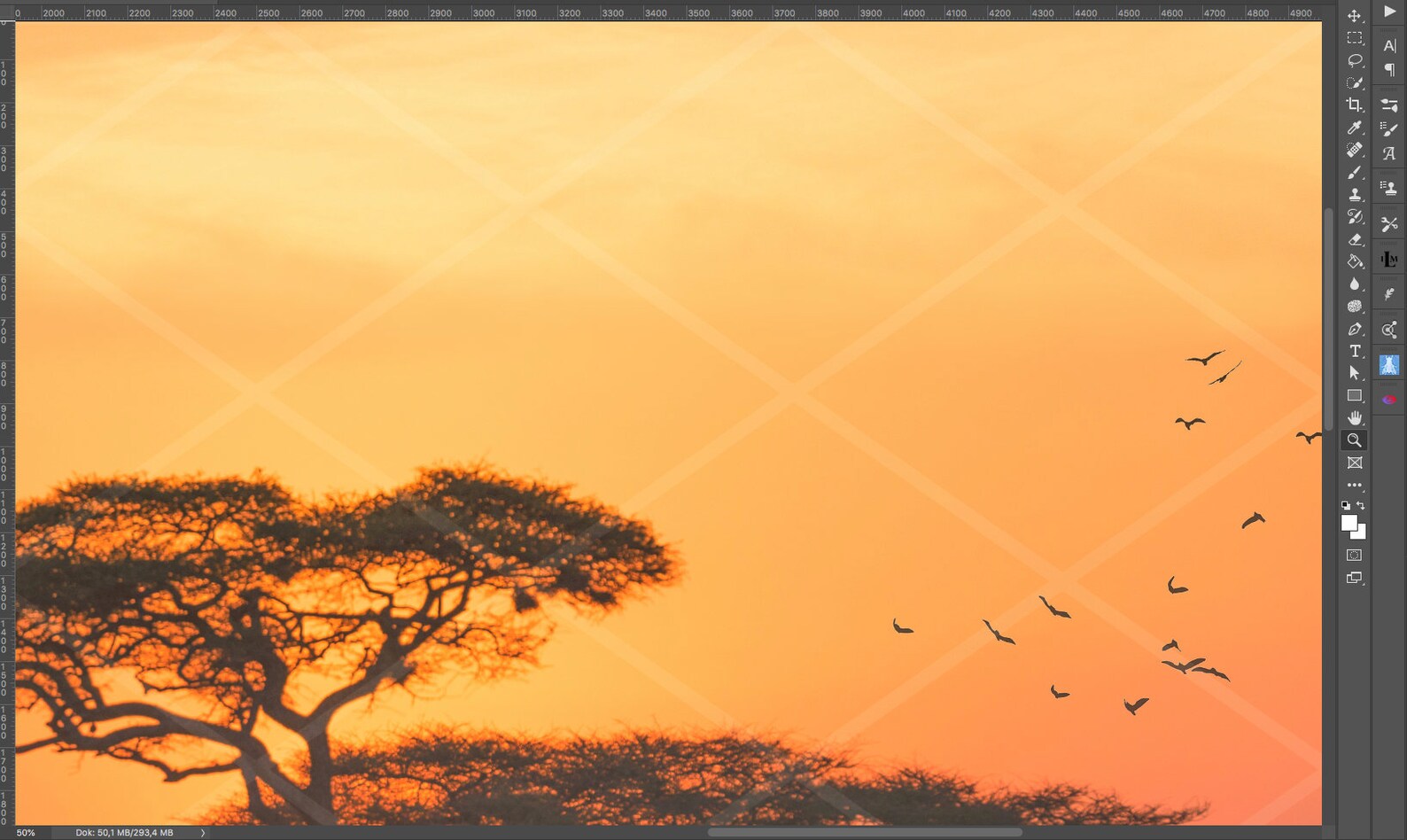 Africa Backdrop Sunset Scene Digital Digital Background - Etsy