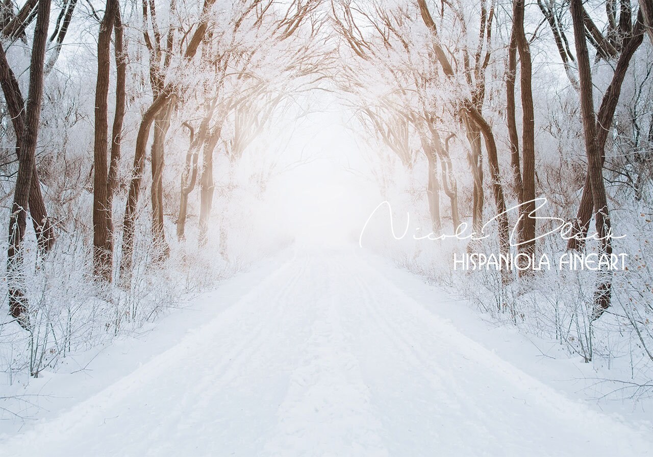 Winter Forest Scene Winter Backdrop Digital Backdrop - Etsy