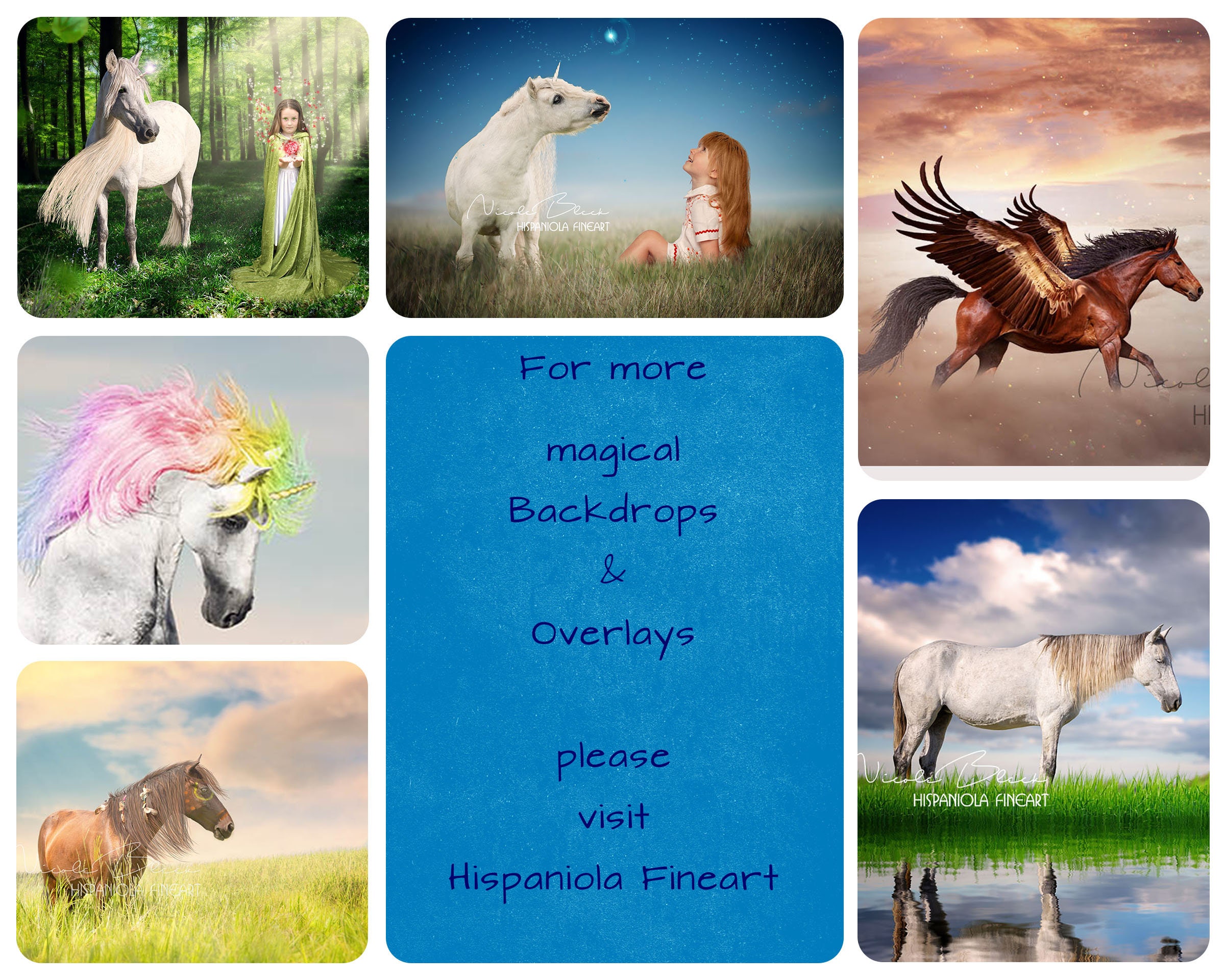 Unicorn in Flower Field Scene realistic Unicorn Backdrop | Etsy