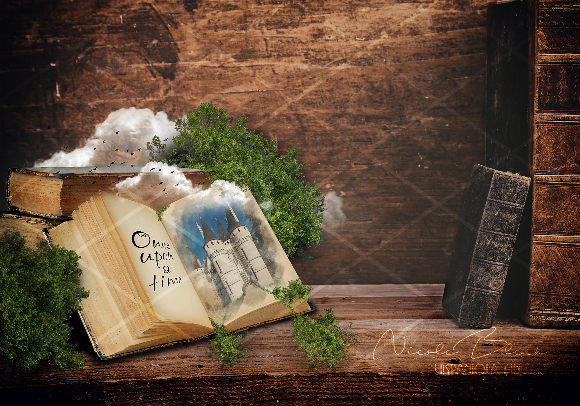 Open Book Backdrop Digital Once Upon a Time Scene Premade | Etsy