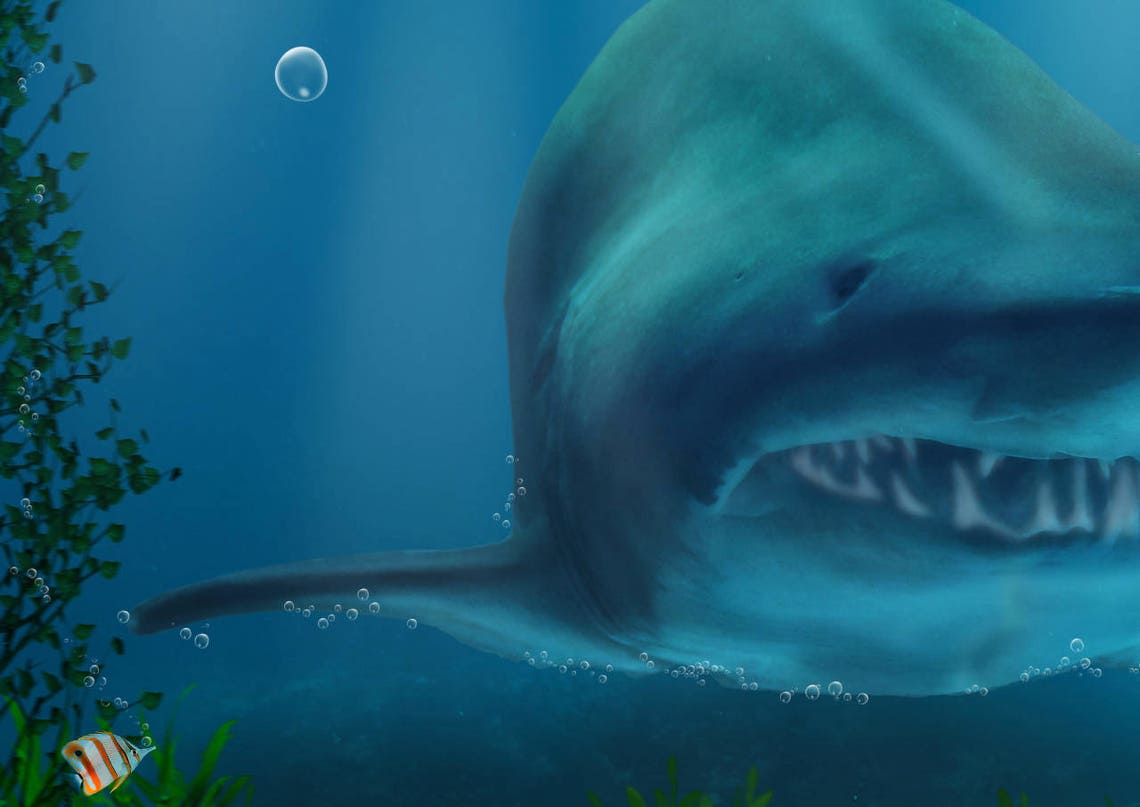 Shark Aquarium Scene Premade Backdrop Shark Backdrop | Etsy