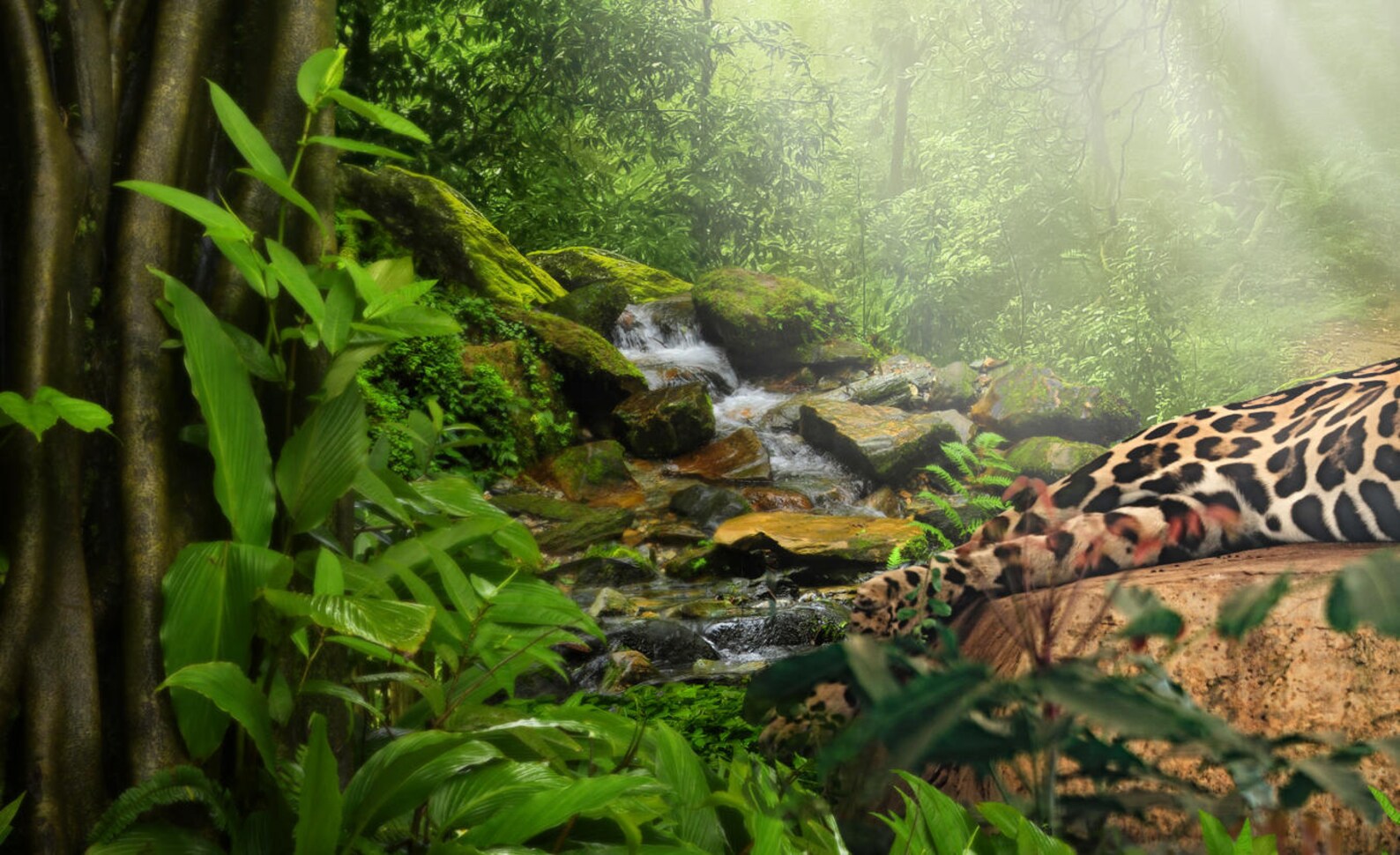 Sfondo di giungla premade sfondo Foto di animali selvatico - Etsy Italia