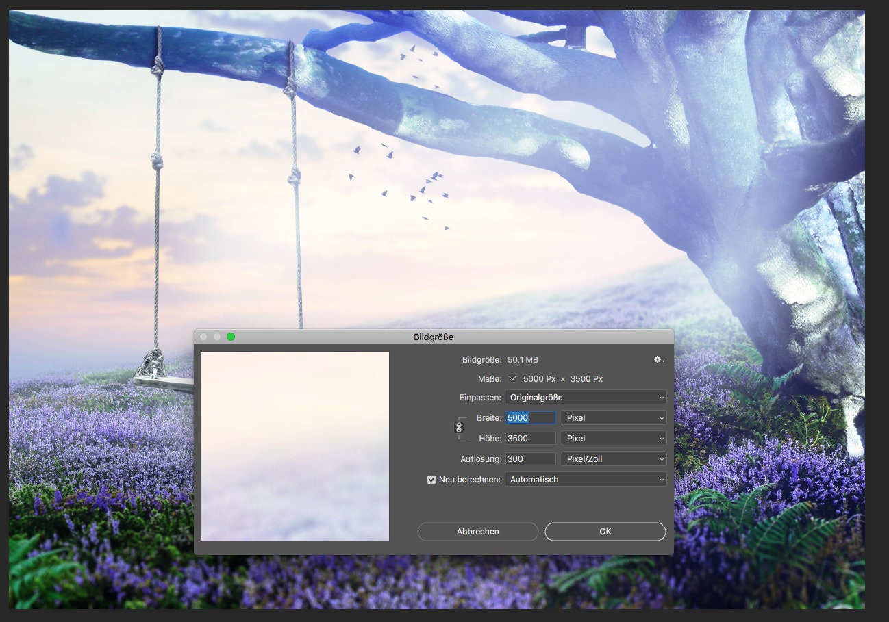 Floral Swing Digital Swing Backdrop Digital Backdrop | Etsy