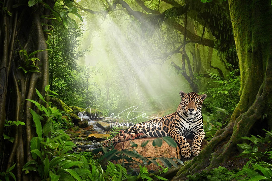 Jungle Backdrop Premade Backdrop Wild Animal Photo Photo Backdrop - Etsy