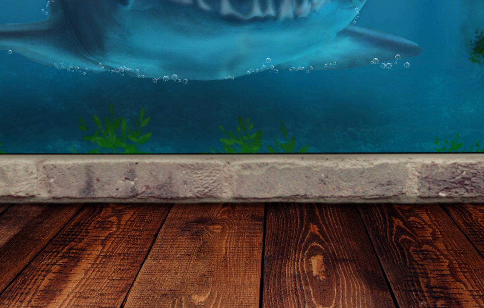 Shark Aquarium Scene Premade Backdrop Shark Backdrop - Etsy