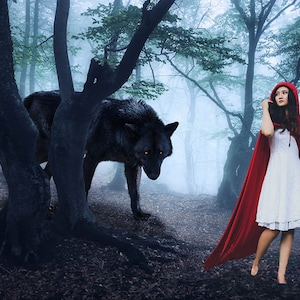 Black Wolf Scene Premade Backdrop Wolf Backdrop Digital Download - Etsy